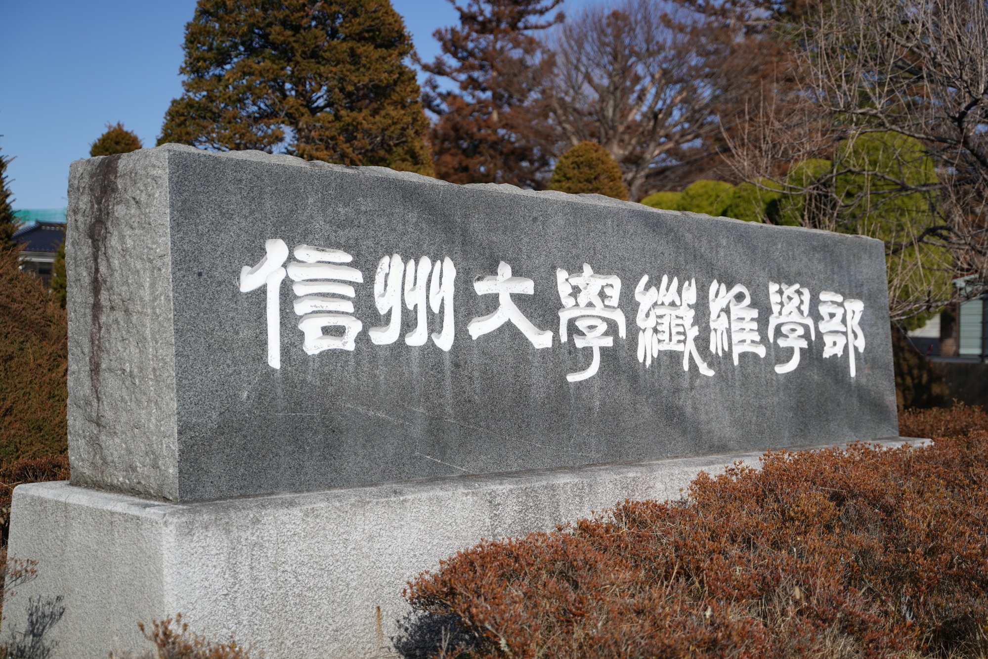 Lab Member - Umedachi Lab