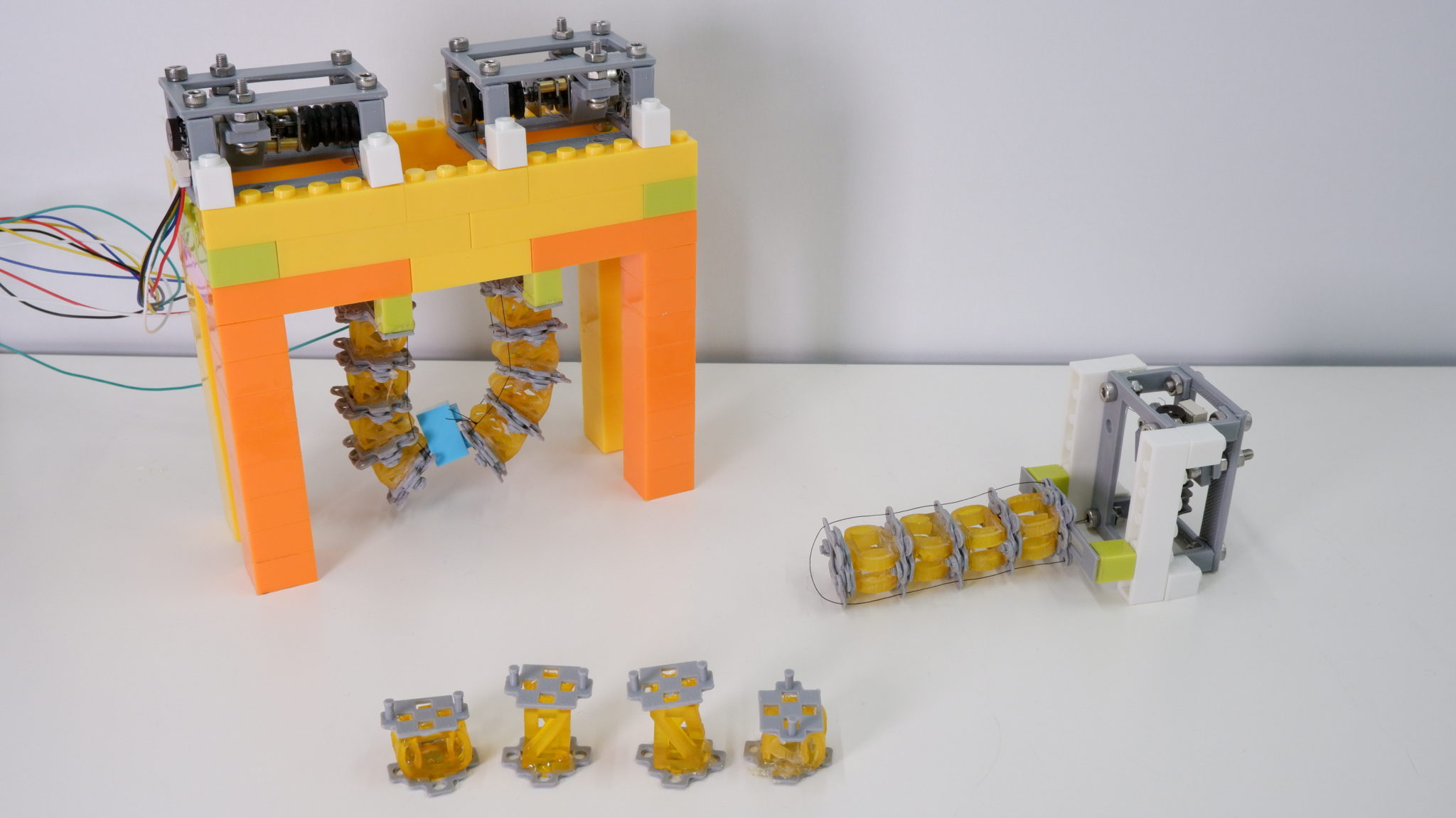 Reconfigurable Tendon Driven Modular Soft Robot Umedachi Lab 2595